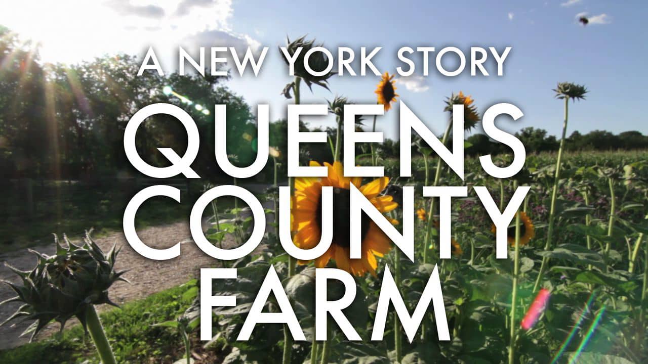 A New York Story - "Queens County Farm" on Vimeo