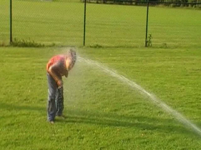 Dolfijnen Scouting Hank - Filmpje on Vimeo