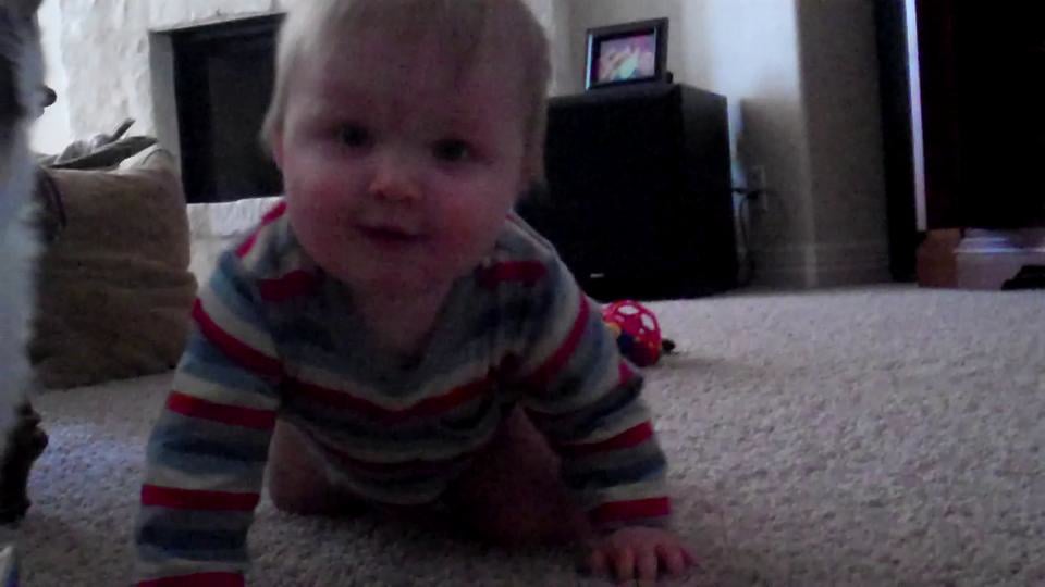 Luke's First Crawl (8 months) on Vimeo