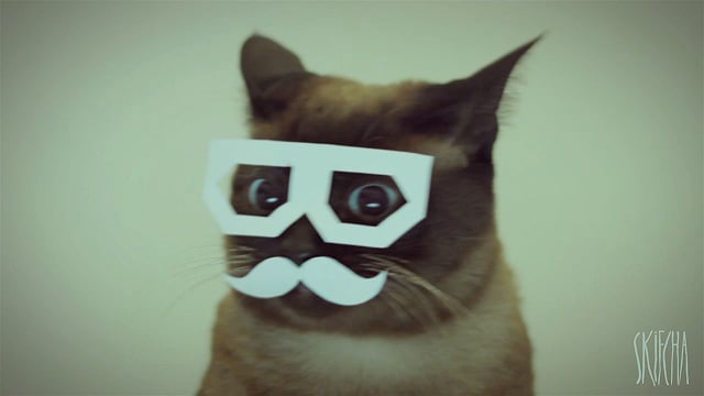 Dubstep Mustache Cat