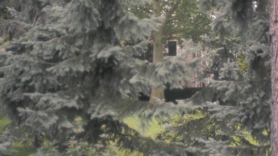 L'insaisissable Albert Kahn (extrait) un film de Robin Hunzinger on Vimeo