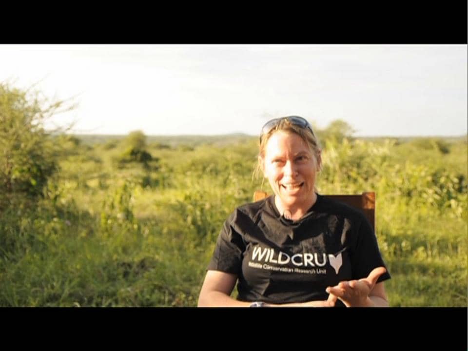 Amy Dickman talking about Lion conservation on Vimeo
