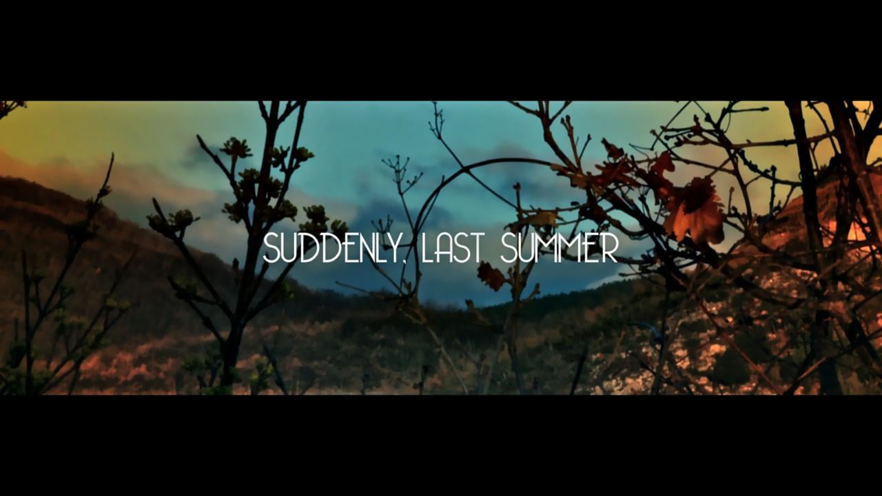Suddenly, last summer on Vimeo