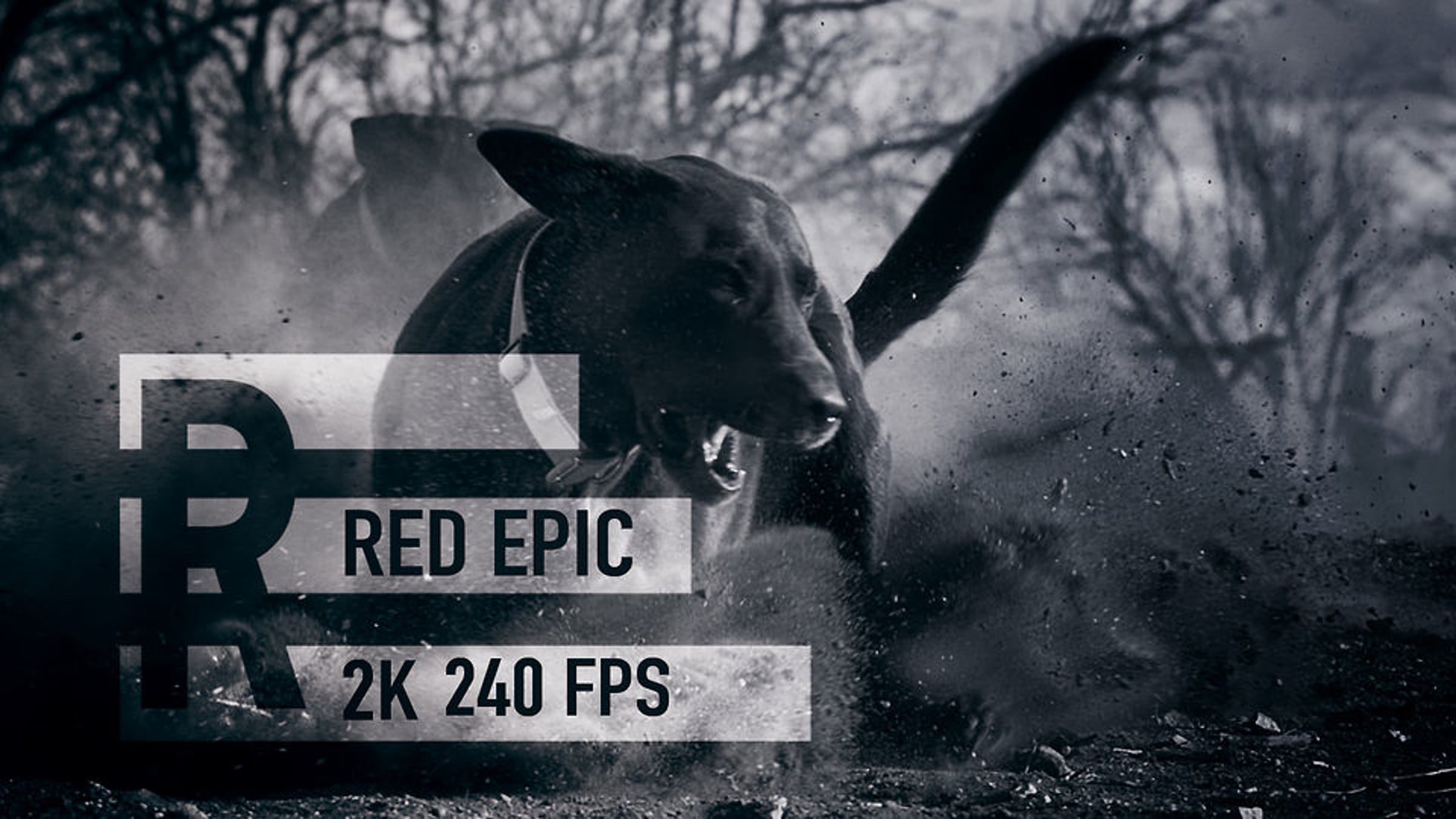 RED Epic 2k 240 FPS Test