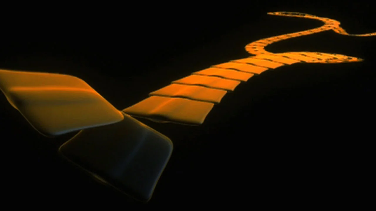 Flatworm Animation: Tapeworm