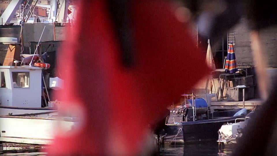 Fishoes - The Story on Vimeo