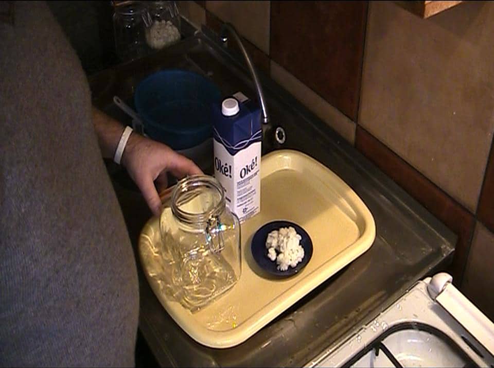 KEFIR DE LAPTE,KEFIR DE APA,KEFIR KOMBUCHA TEA CEAI 0723506938 CIUPERCA ...