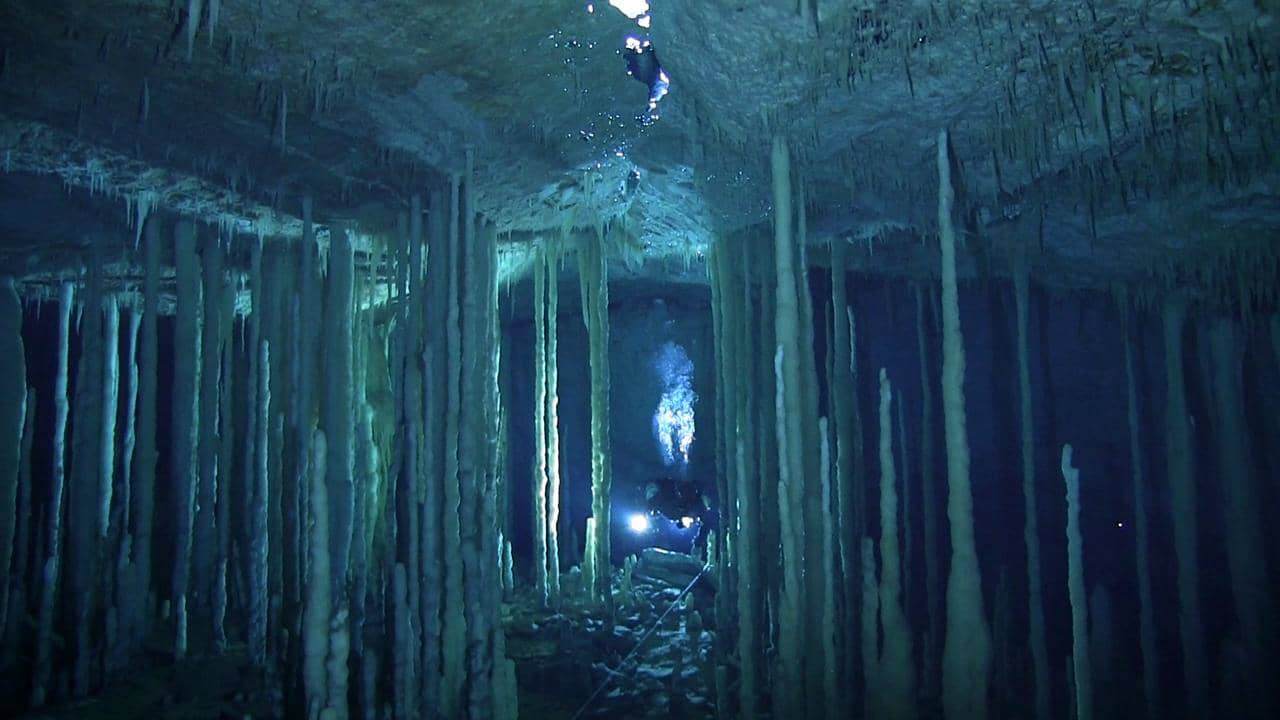 The hidden treasure- Abaco cave diving on Vimeo
