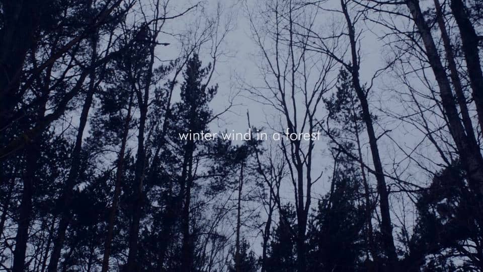 winter wind in a forest on Vimeo