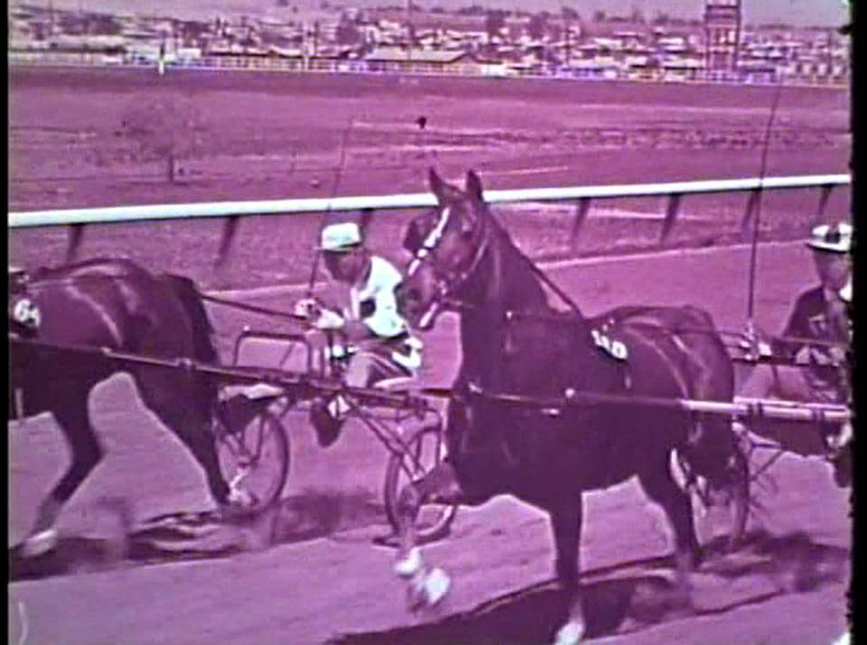 alexander-film-company-7up-harness-racing-on-vimeo