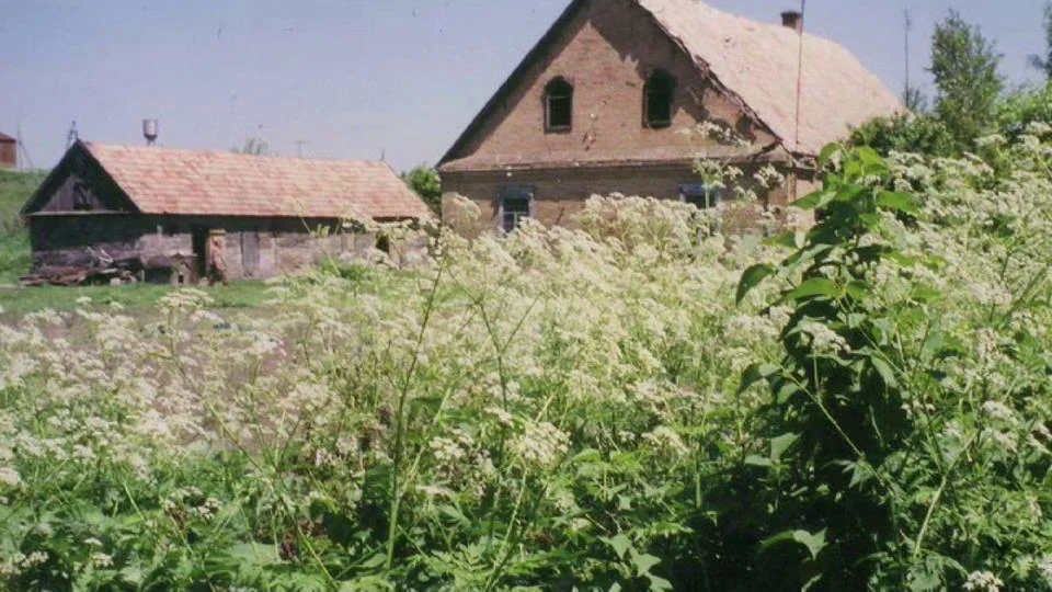 Klaas Reimer: Courageous Visionary on Vimeo