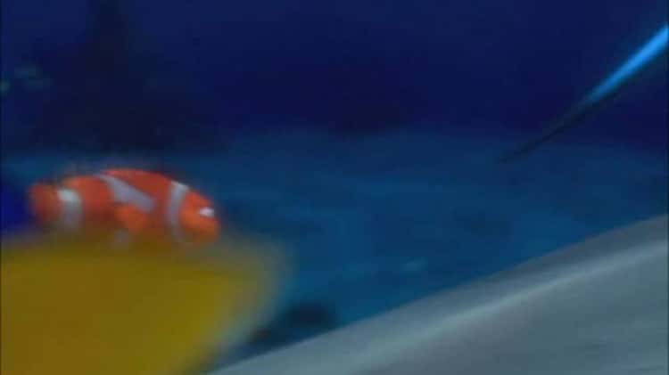 Buscando A Nemo P Sherman