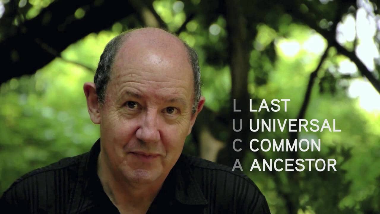 Threshold 6 on Vimeo