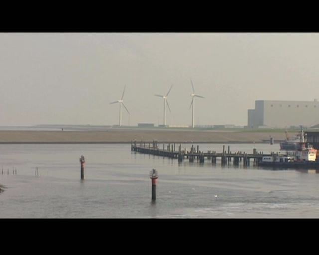 TMF Vj 4 a day Pien Stieglis. Zeehonden vrijlaten on Vimeo