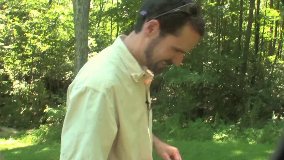 White Pine Programs on Vimeo