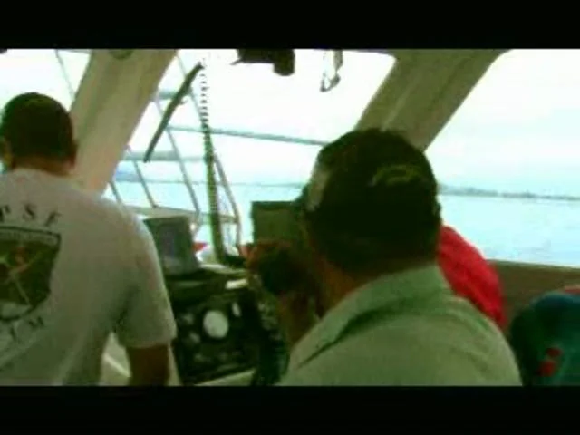 MSC Stella em São Francisco do Sul on Vimeo