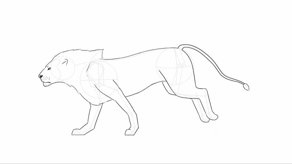 Lion Run Cycle on Vimeo