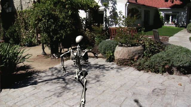 Test 2B: SKELETON GARDEN DANCE FULL 720p on Vimeo