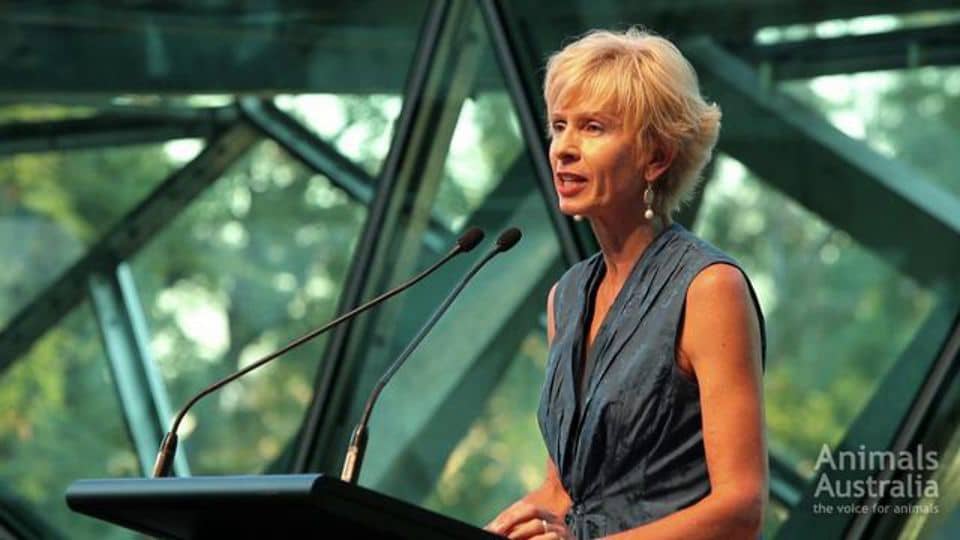 An evening with Lyn White (full event) on Vimeo