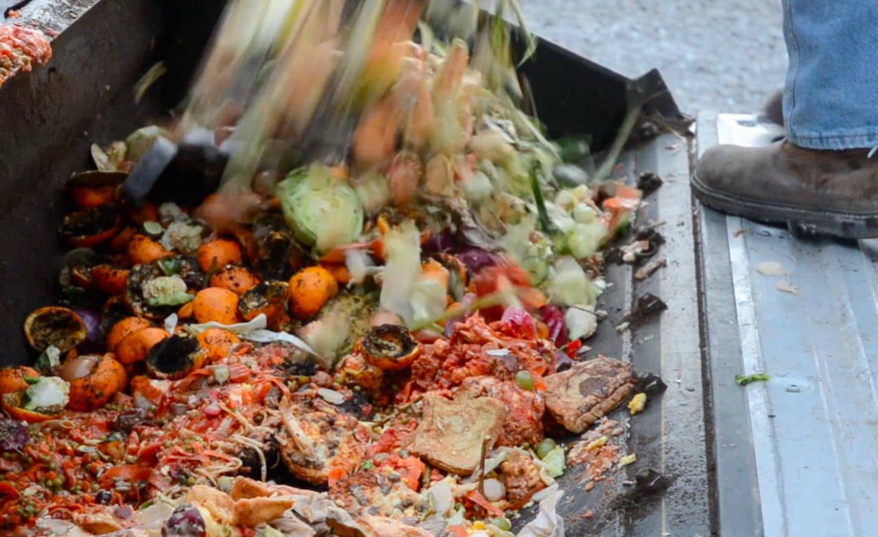 Tracing Dining Hall Food Waste on Vimeo