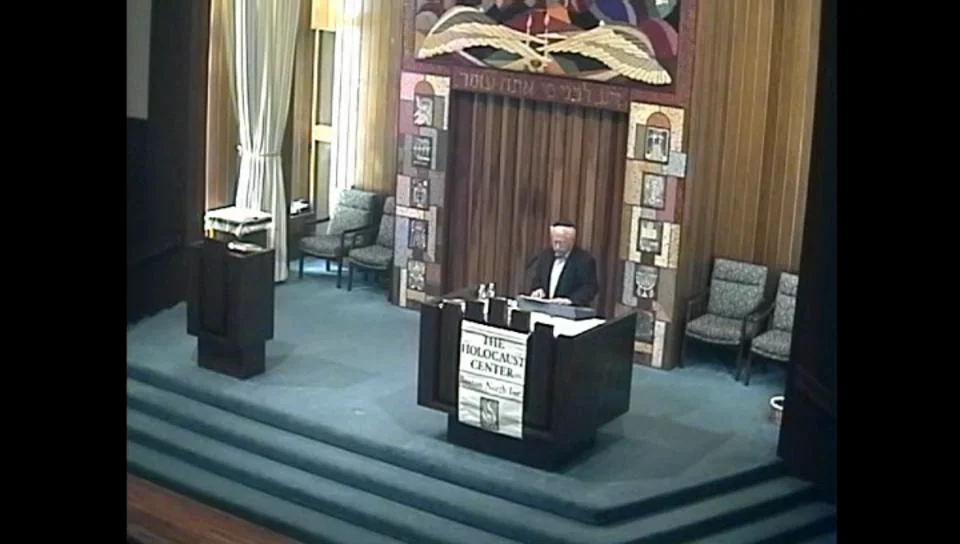 Stephan Lewy on Vimeo