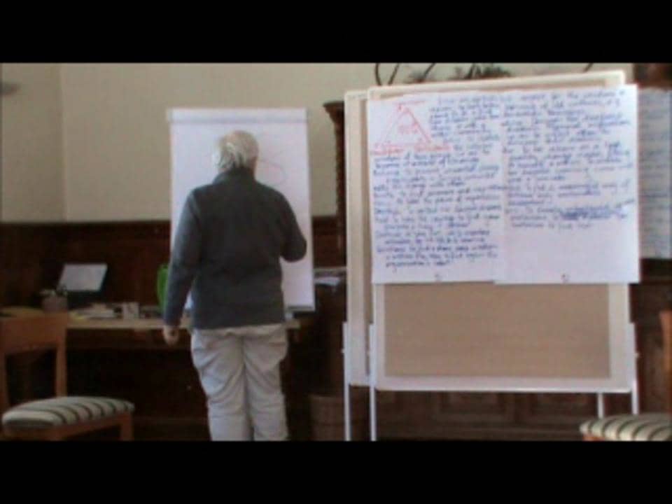 29 Explanation of Karabirrdt 1 on Vimeo