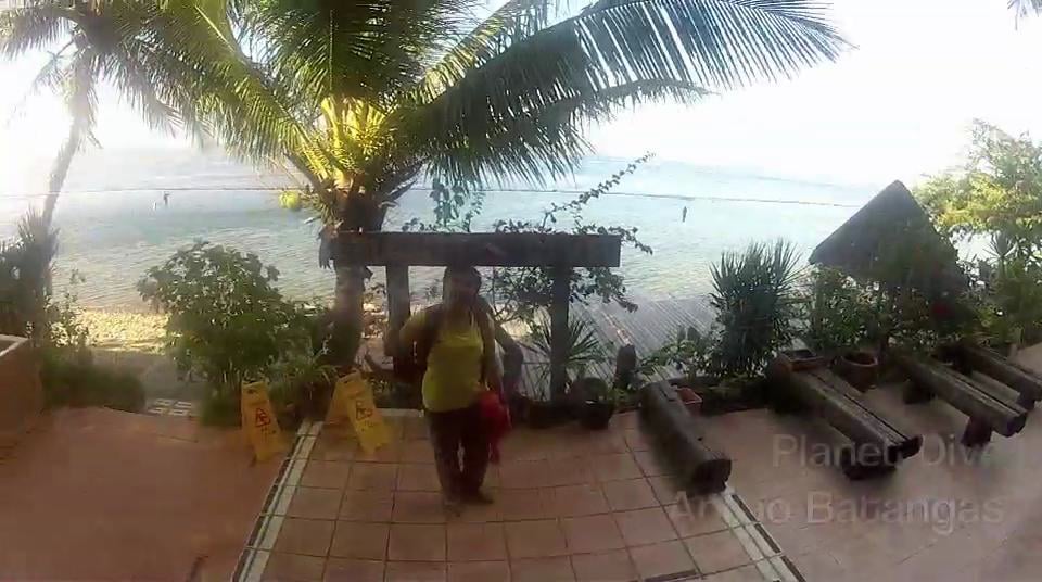 Dive @ twin rocks, Anilao, Batangas on Vimeo