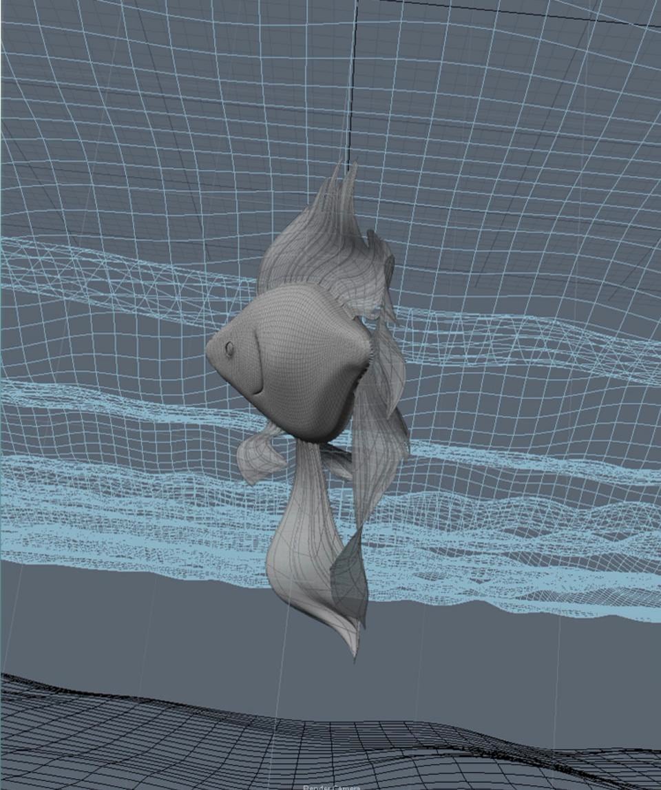 Fish on Vimeo