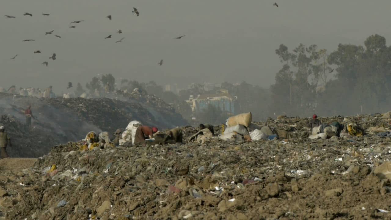 Future Megacities - The IGNIS Project on Vimeo