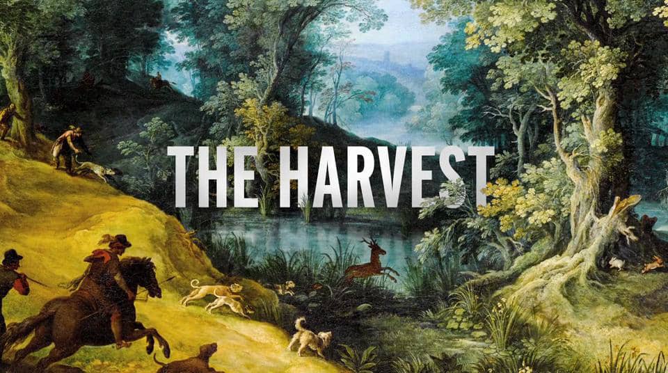 The Harvest title sequence on Vimeo