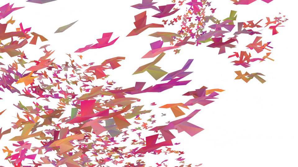 Flocking on Vimeo