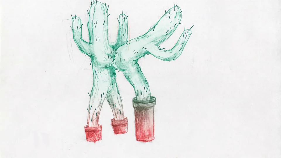 Cactus Shake on Vimeo