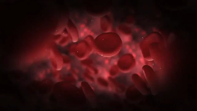 Bloodstream on Vimeo