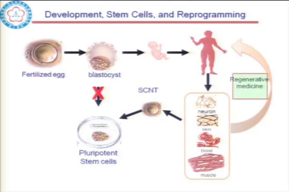 induced Pluripotent Stem Cells and Reprogramming - Pei Duanqing ...