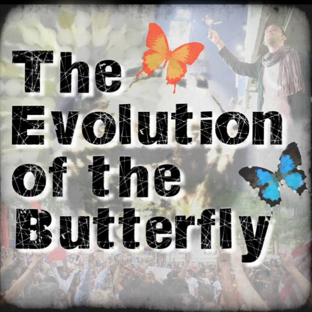The Evolution of the Butterfly on Vimeo