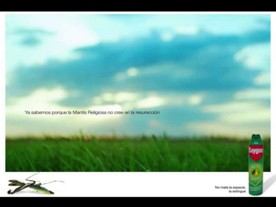 "CAMPAÑA GRAFICA BAYGON" on Vimeo