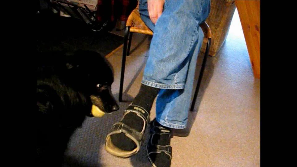 rida rida ranka on Vimeo