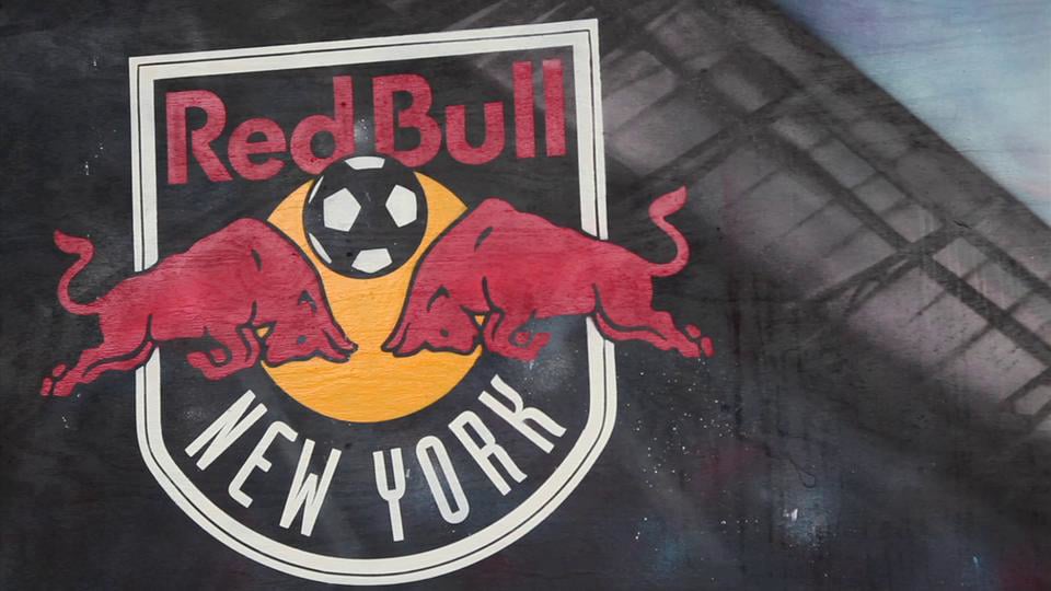 New York Red Bulls Mural - Dana Woulfe & Stephen Holding