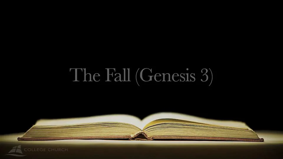 The Bible Explained: The Fall (Gen. 3) on Vimeo