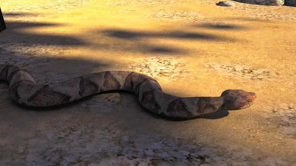 Lateral Undulation in Snake Locomotion on Vimeo