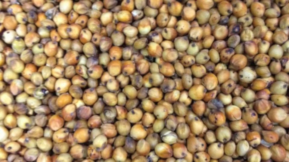Cleaning Milo Seed on Vimeo