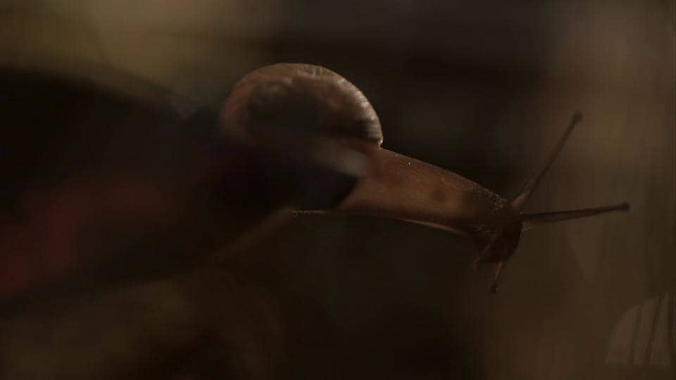 Crawlers by Brandon Lippard on Vimeo