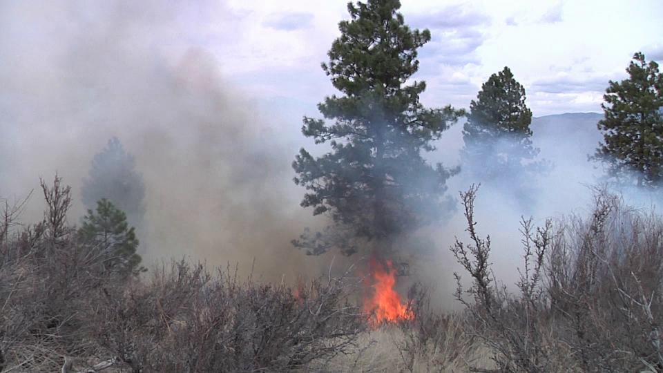 Brushfire 4-17-12 on Vimeo