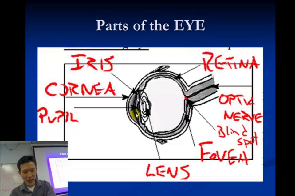 The Amazing Human Eye on Vimeo