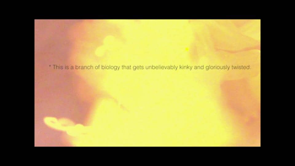 Natacha Merritt - 'Sexual Selection' (alternate trailer 1) on Vimeo