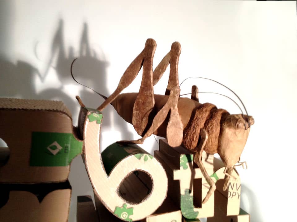 3D Design– bugs, cardboard and glue on Vimeo