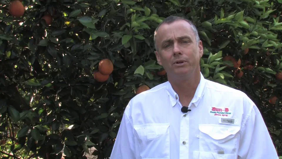 Dundee Citrus Growers Association on Vimeo