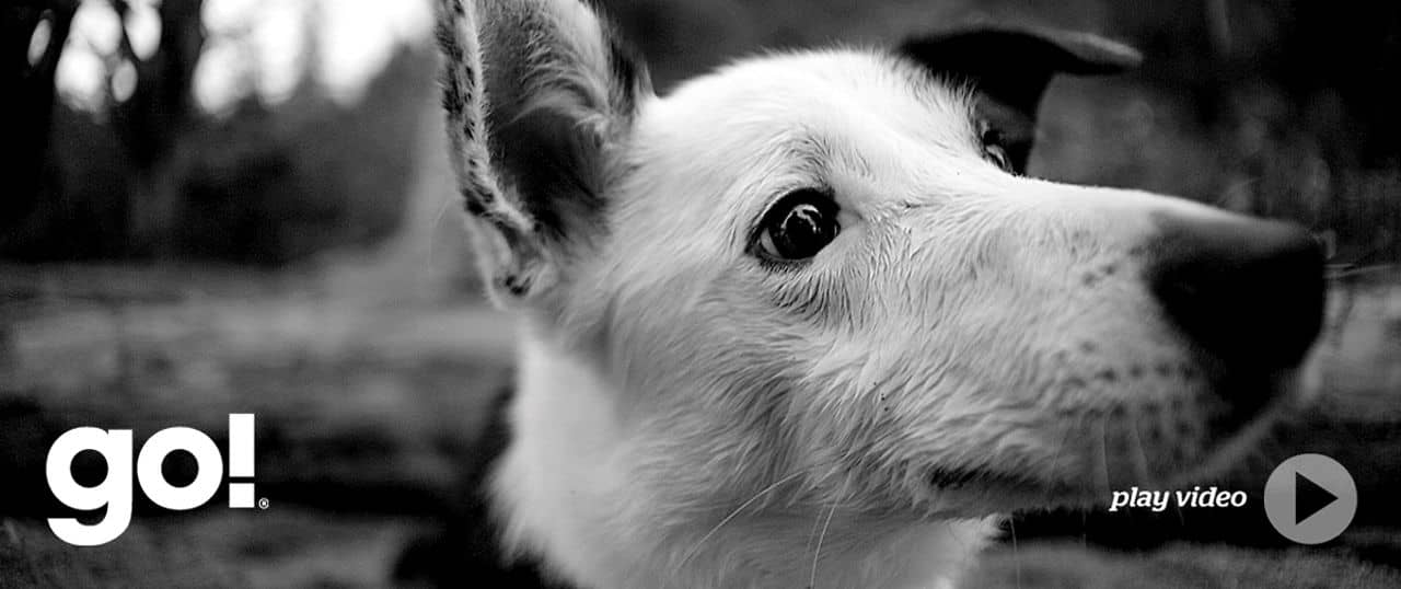 Go! on Vimeo