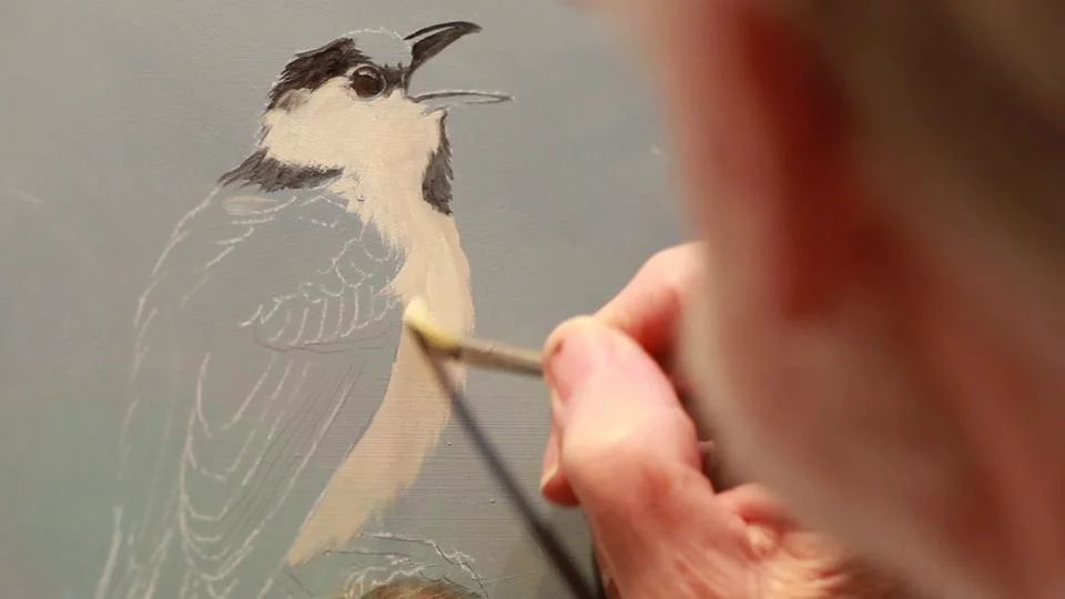 William T Cooper 5 min Teaser on Vimeo