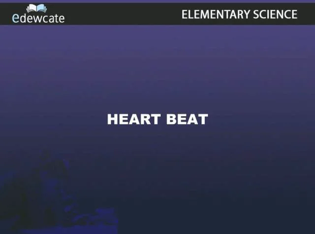 Working of the Human Heart - Heart Beat